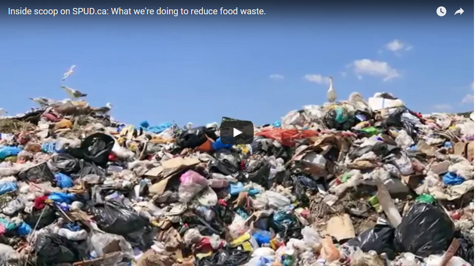What we're doing to reduce food waste. -SPUD.ca
