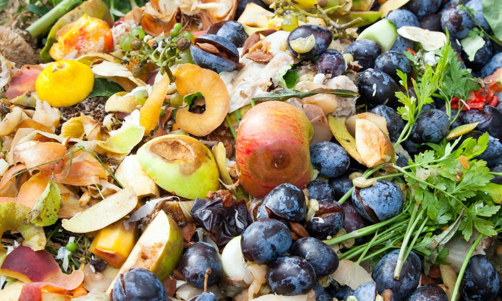21 Shocking Food Waste Facts from our Southern Neighbours: the USA ...