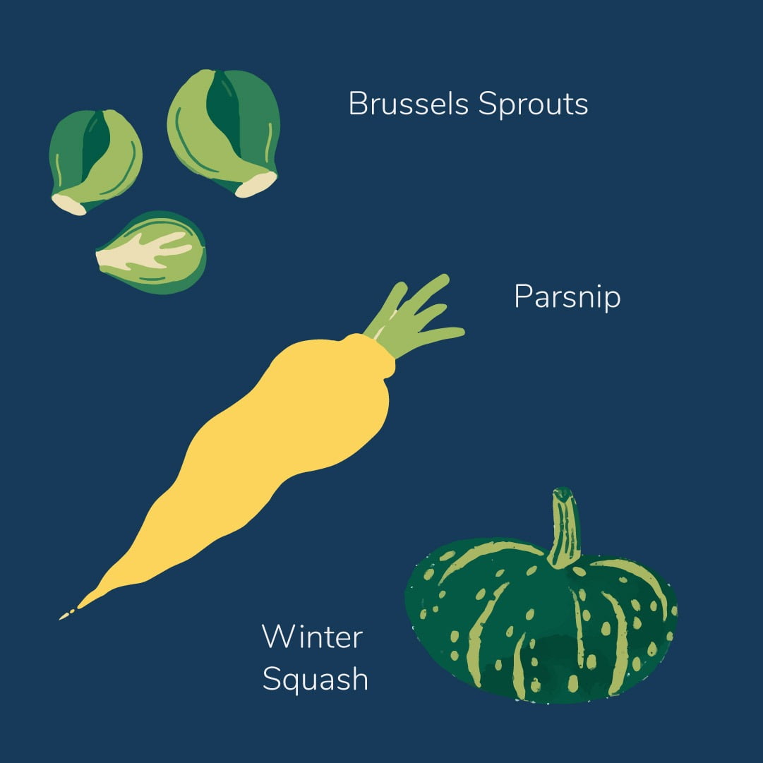 Canadian Winter Seasonal Produce Guide