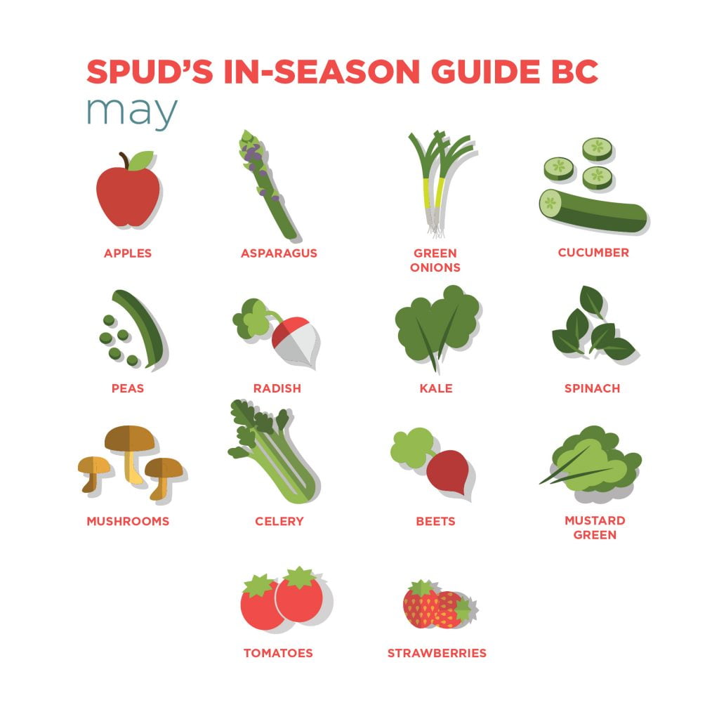 WE'VE GOT YOUR WHAT'S IN-SEASON PRODUCE GUIDE FOR MAY - SPUD.ca