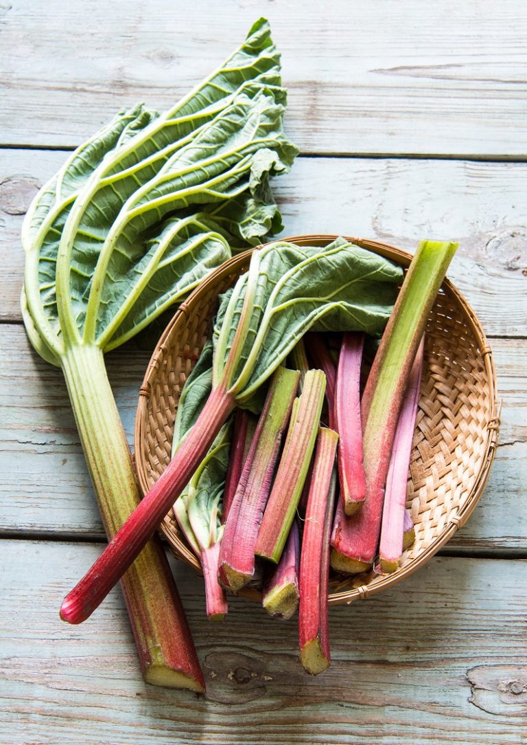 3 Rhubarb Recipes To Delight Your Taste Buds! - SPUD.ca