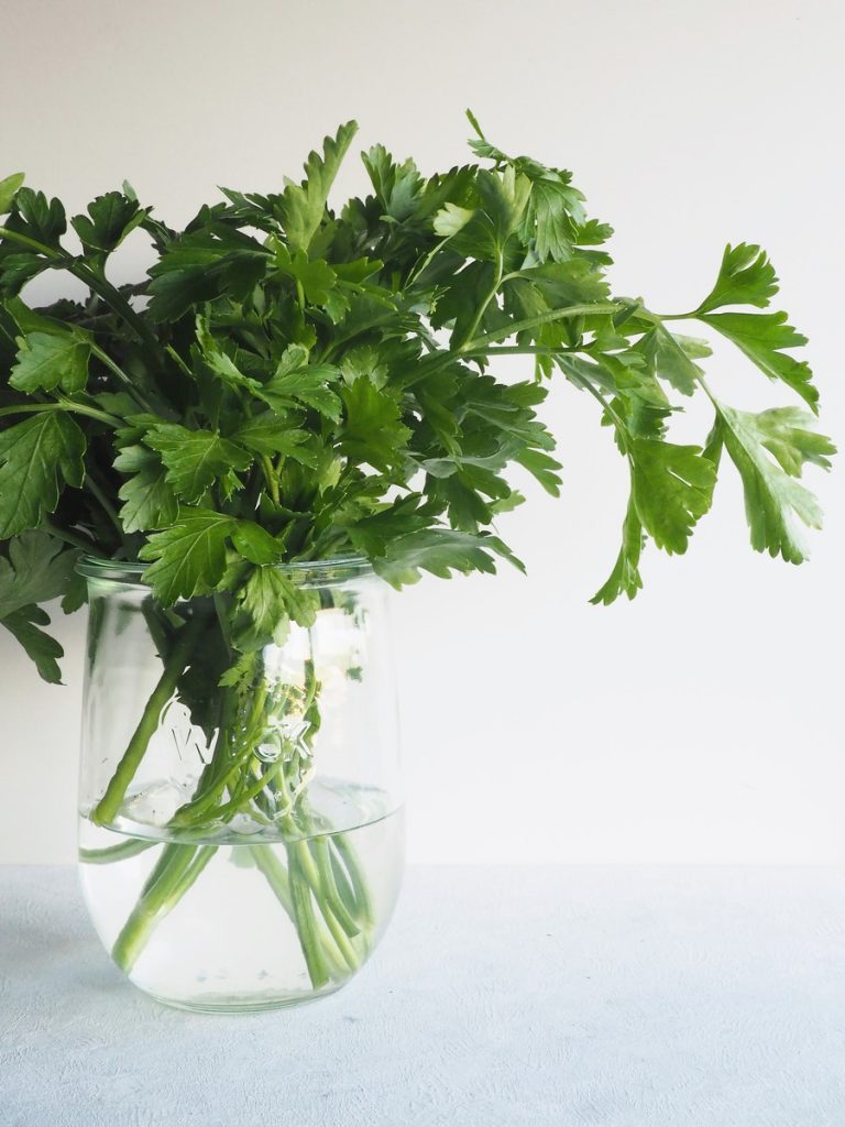 5 Parsley Recipes To Reduce Food Waste - SPUD.ca