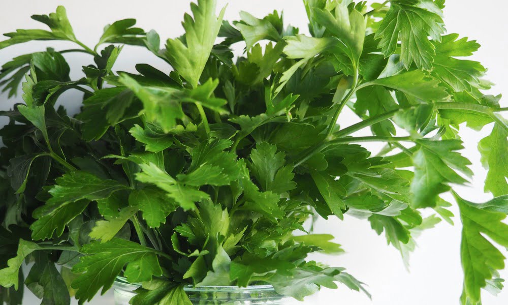 5 Parsley Recipes To Reduce Food Waste - SPUD.ca