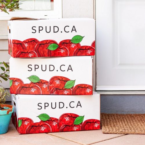 7 DIY Foot Scrubs & Soaks To Prep Your Feet For Summer - SPUD.ca