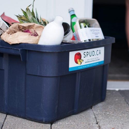 Tips for Pickling - about.spud.com