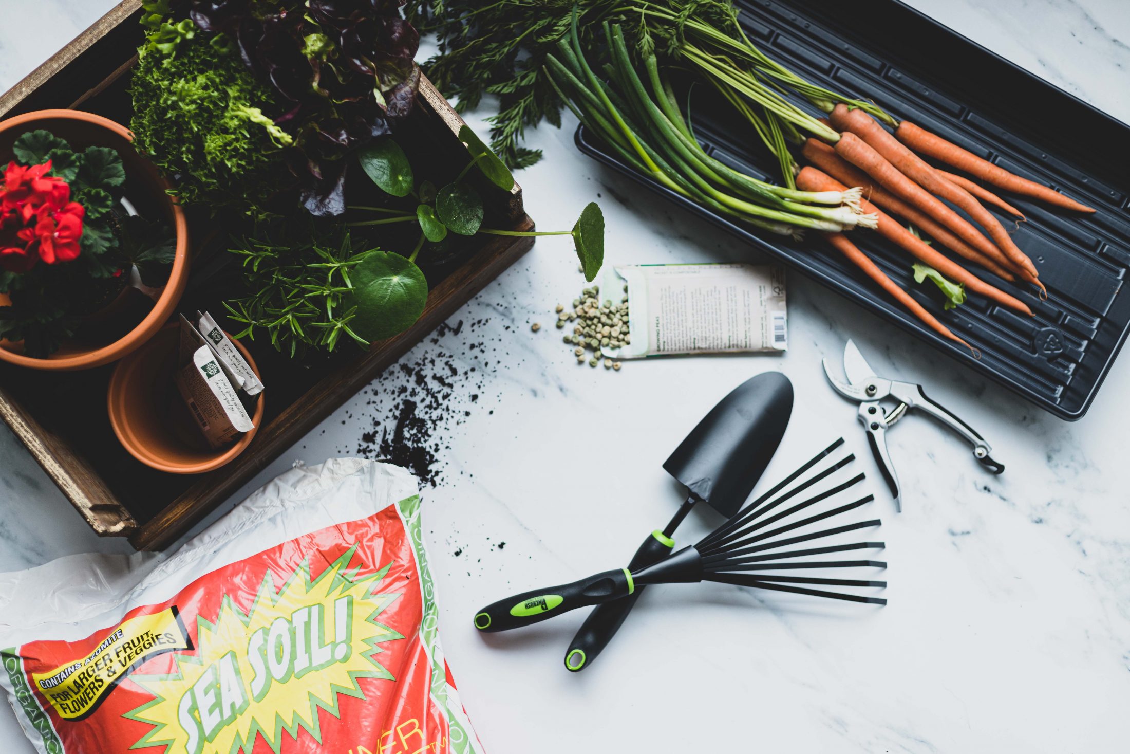 Organic Garden - Get Growing Organically - about.spud.com