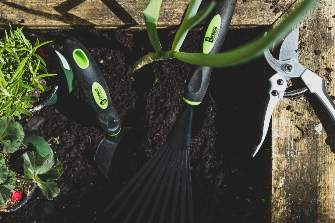 Organic Garden - Get Growing Organically - about.spud.com