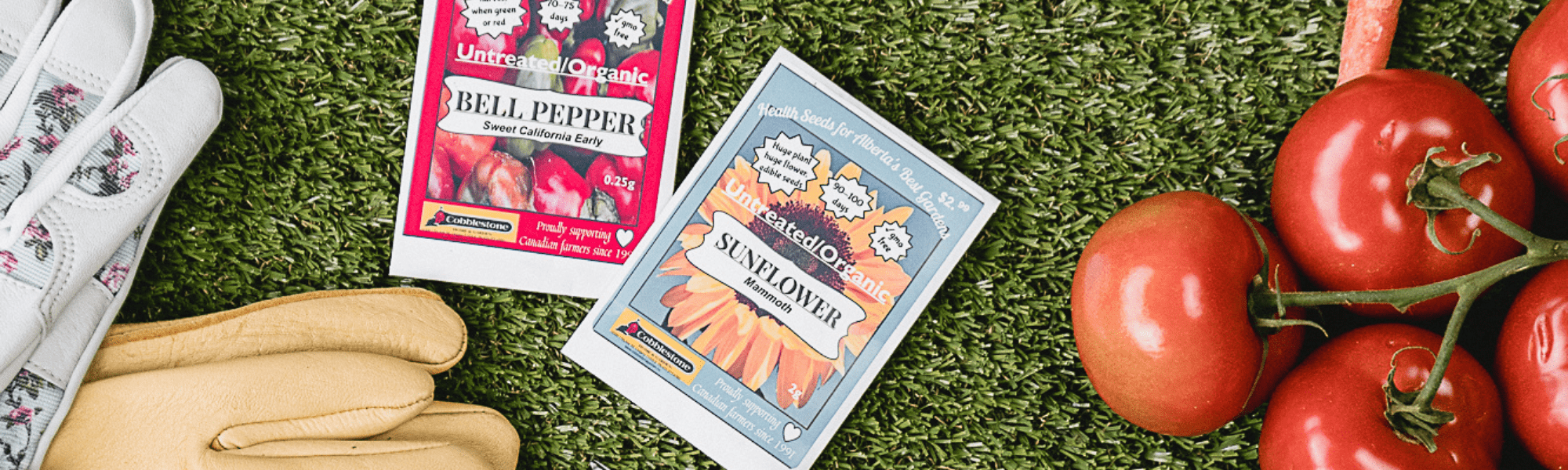 Organic Garden - Get Growing Organically - about.spud.com