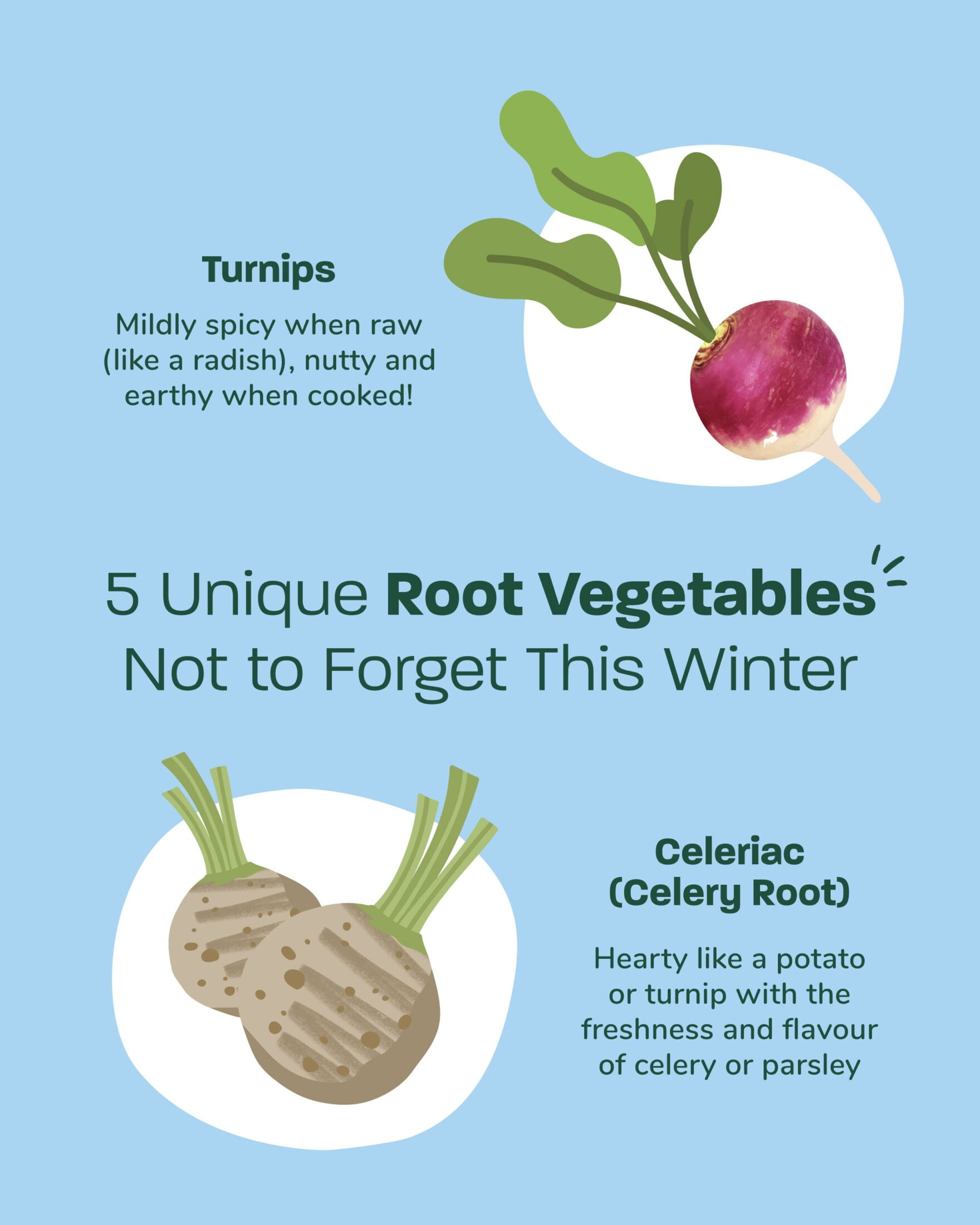 15 Unique Root Vegetable Recipes - Spud.ca